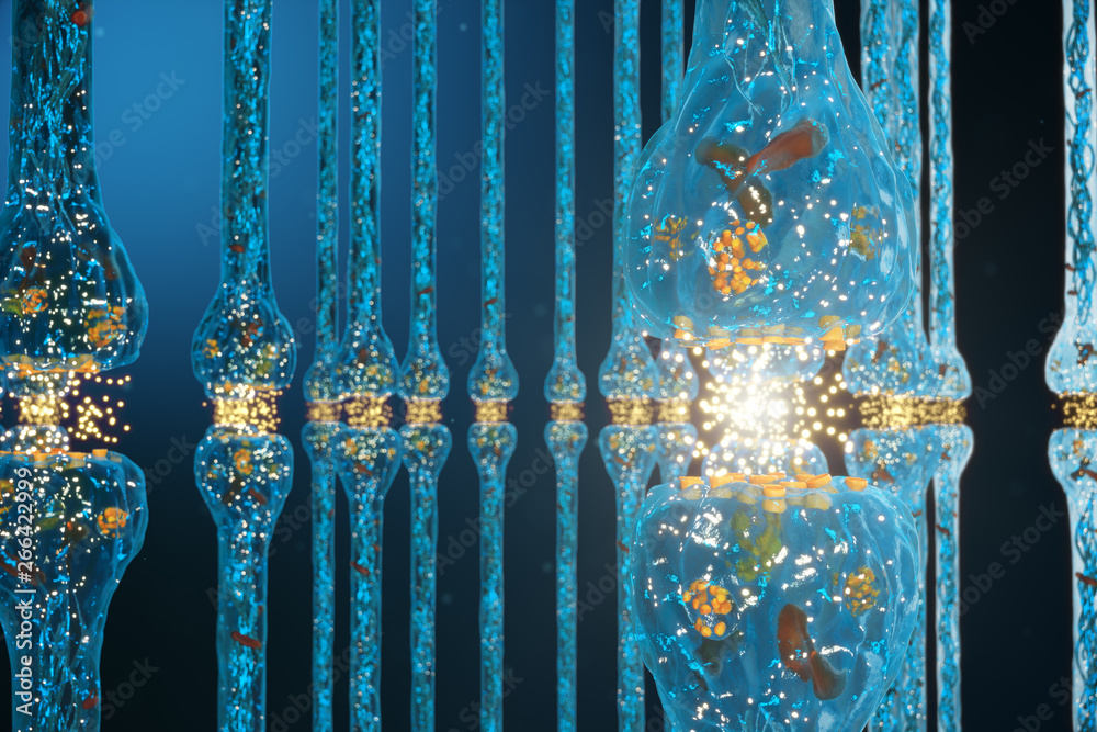 Synaptic transmission, human nervous system. Concept consciousness ...