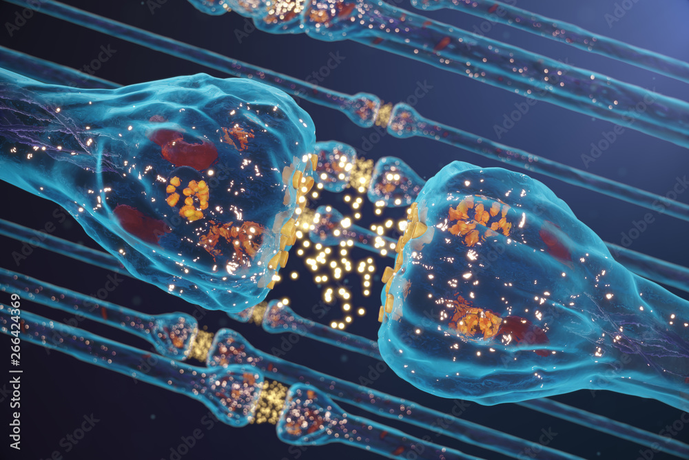 Synaptic transmission, nervous system receptors. Concept consciousness ...