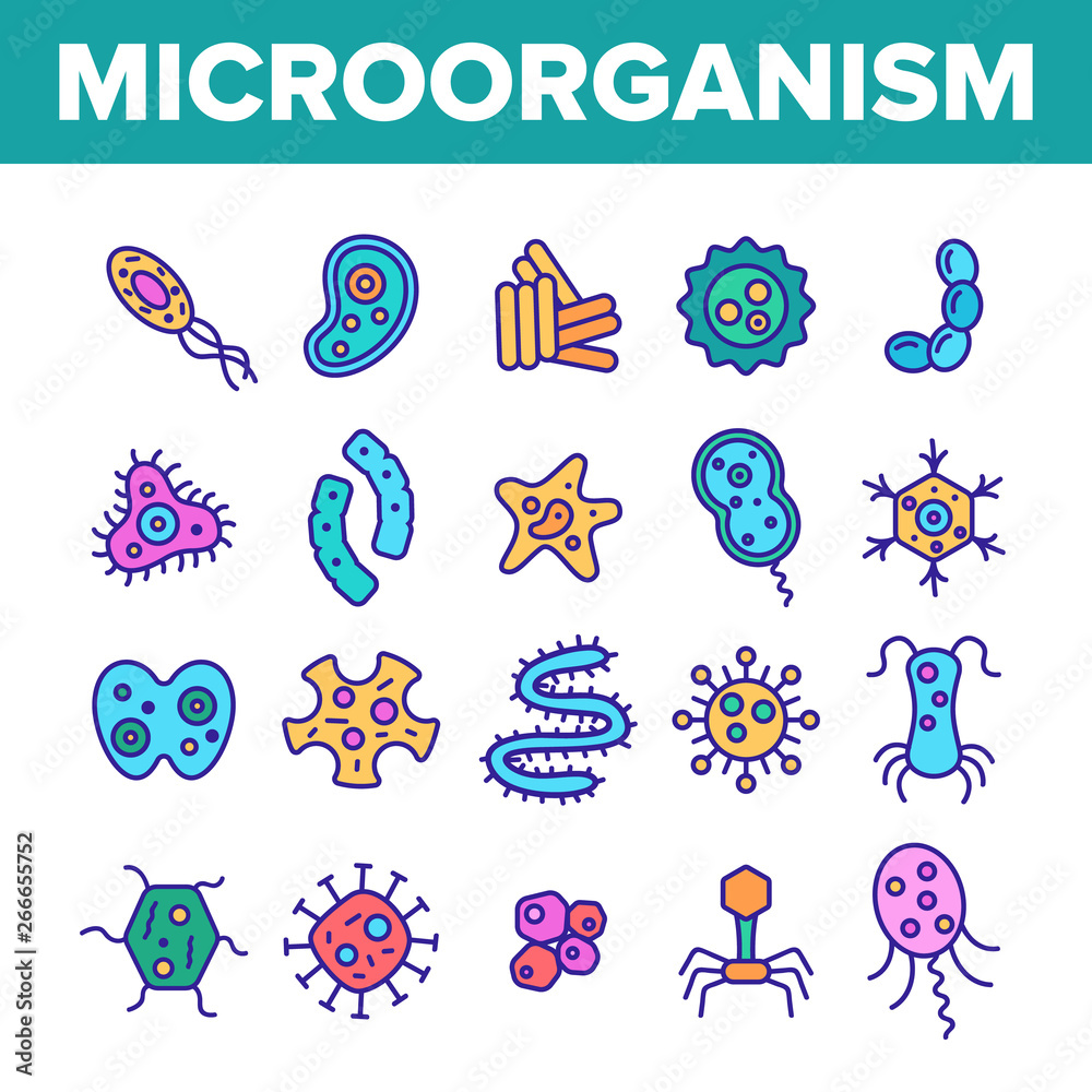 Microorganisms Cells Thin Line Icons Vector Set. Viruses, Bacterias ...