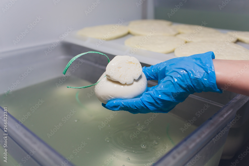 Production process of mozzarella cheese, cheese making process. Stock ...