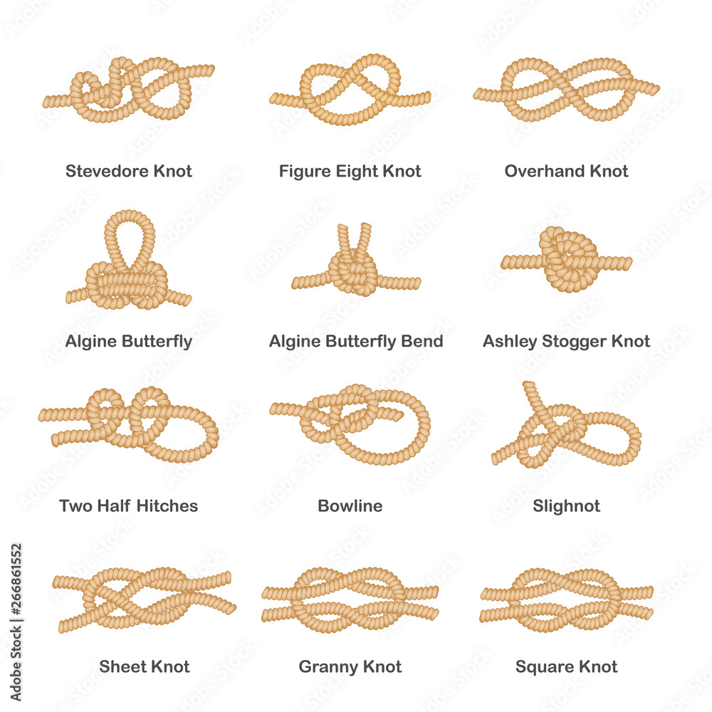 Set of various types of nautical loops and knots for rope. Stock Vector ...