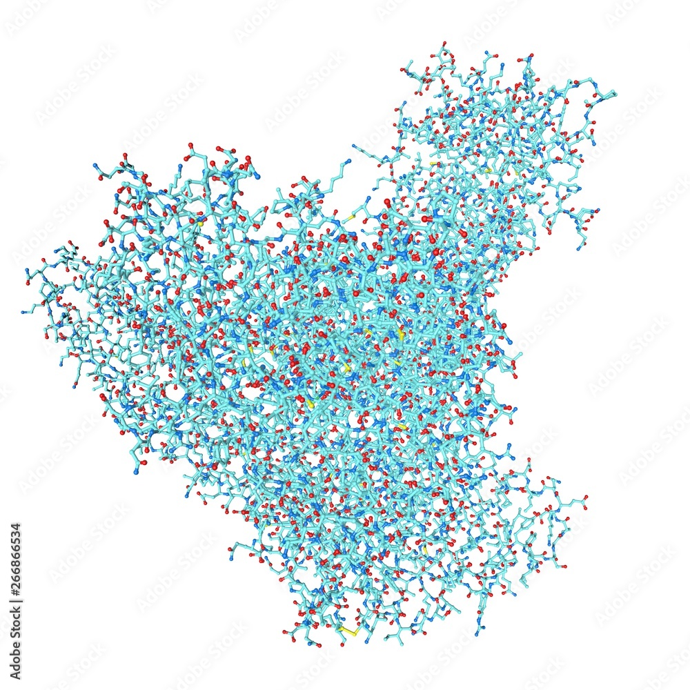 Molecular model of tetanus neurotoxin. Scientific background. 3d ...