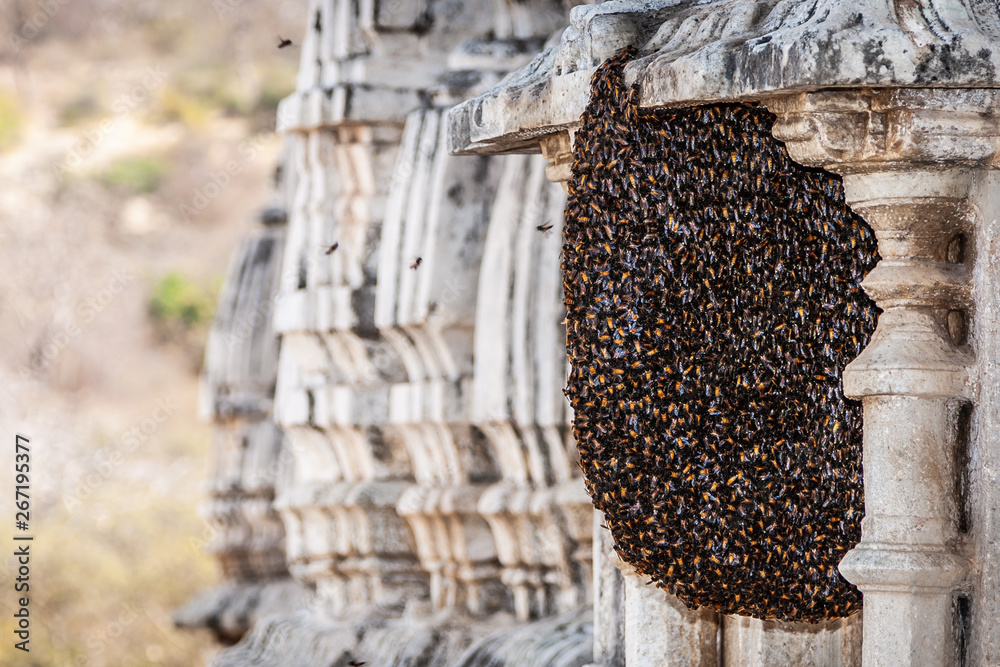 Large bee hive close-up on the wall of the temple. Chaumukha Mandir ...