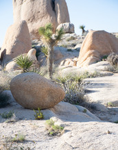 Massive Desert Boulders Free Stock Photo - Public Domain Pictures