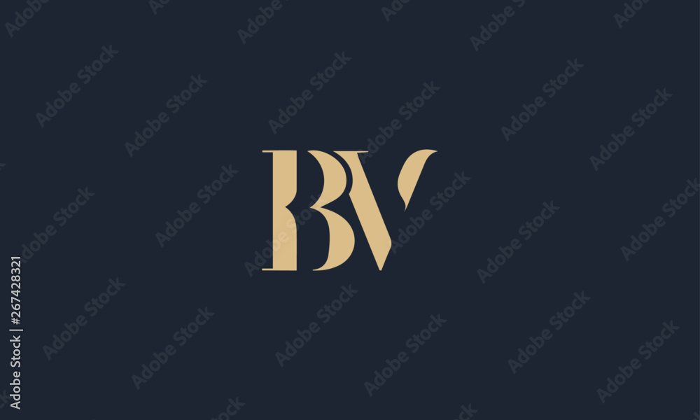 BV logo design template vector illustration Stock Vector | Adobe Stock