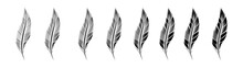 Feather Line Art Free Stock Photo - Public Domain Pictures
