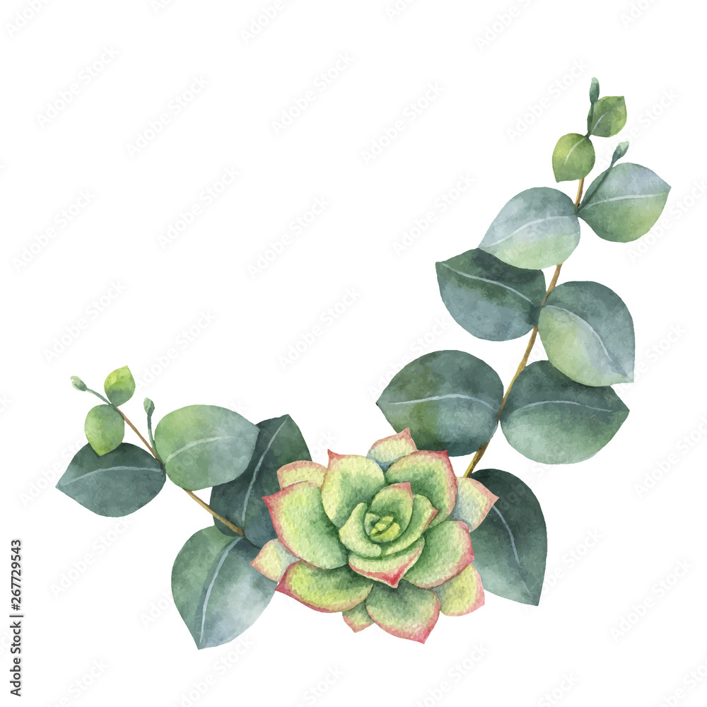 Watercolor vector wreath with eucalyptus leaves and succulents. Stock ...