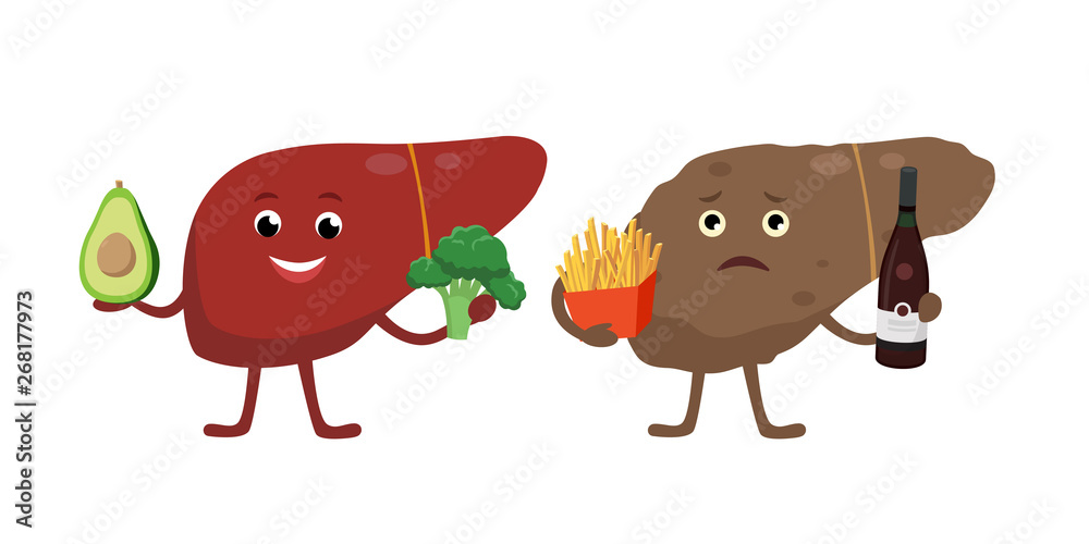 Healthy and unhealthy liver cartoon characters isolated on white ...