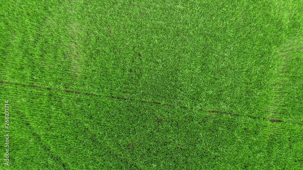 aerial view of grass field. natural green spring summer background ...