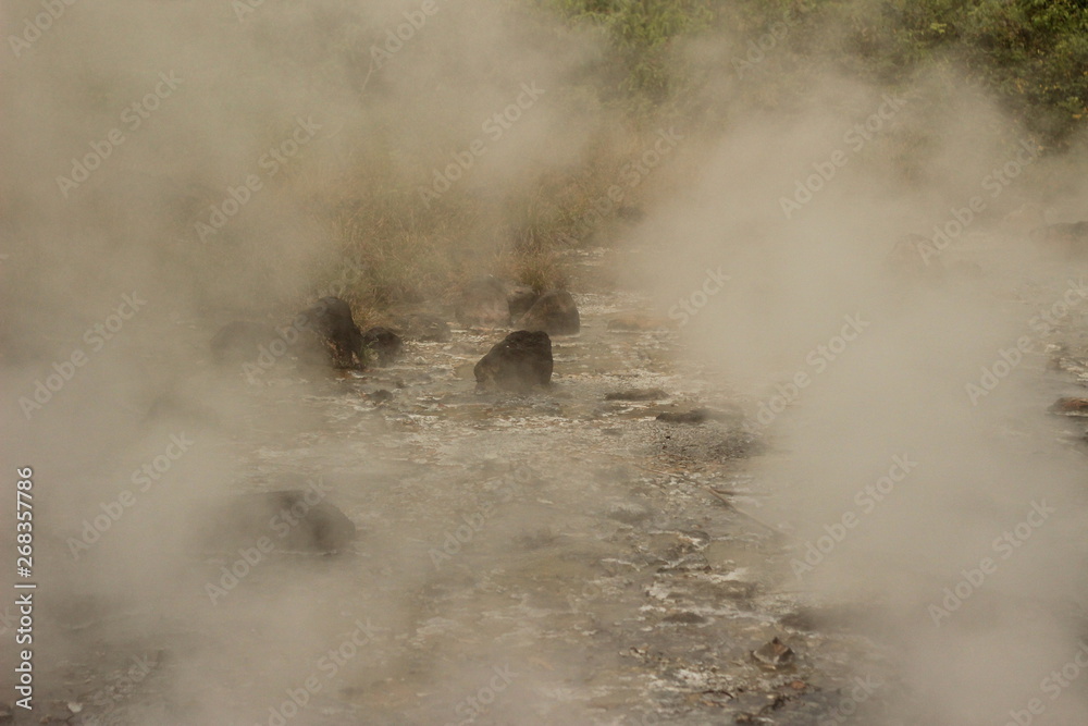 steam rising and rolling from the bubbling boiling water of a volcanic ...