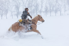 Cowboy Free Stock Photo - Public Domain Pictures