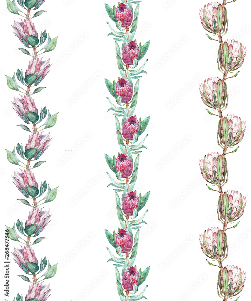 Floral border patterns with protea flower. Seamless backgrounds for ...