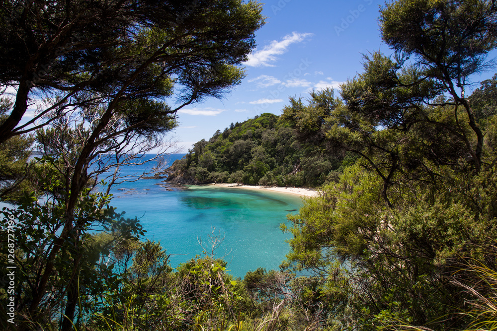 View through the trees walking down to Whale Bay. Glorious white sand ...