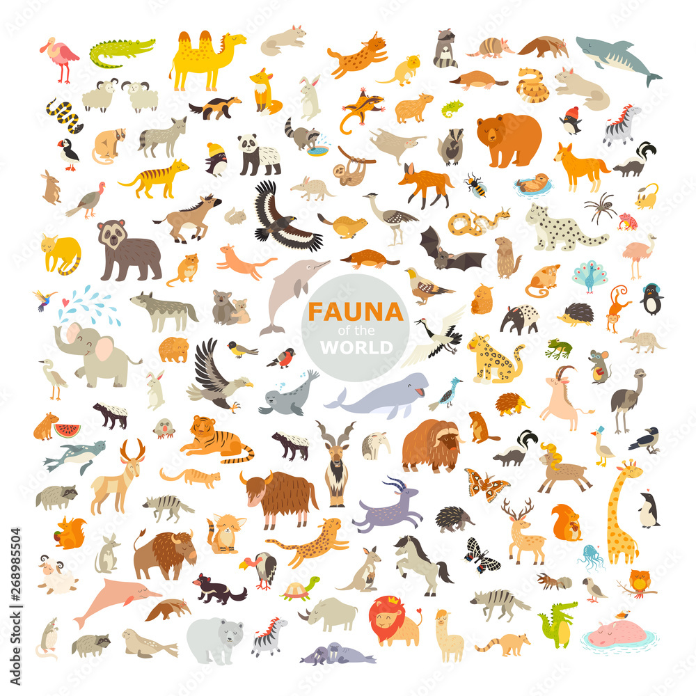Mammals of the world. Extra big animals set. Vector illustration ...