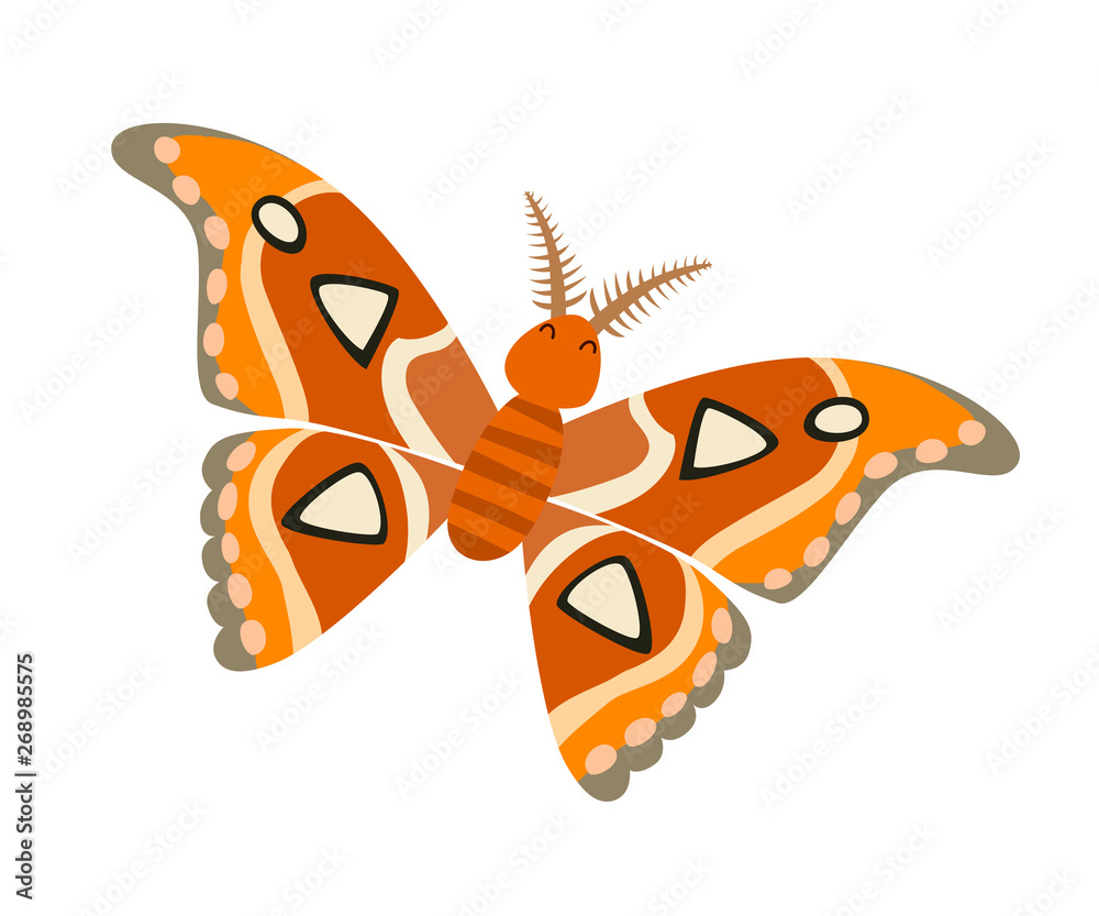 Atlas moth icon vector illustration. Cartoon style partridge animals ...