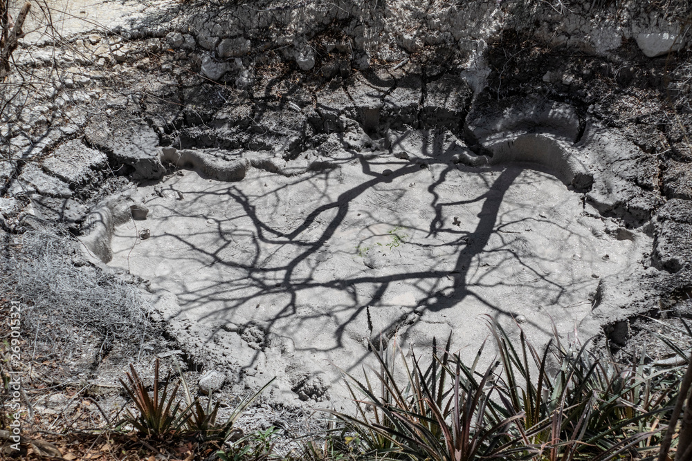 Boiling mud pools with vapour bubbles, Guanacaste province, Rincon de ...
