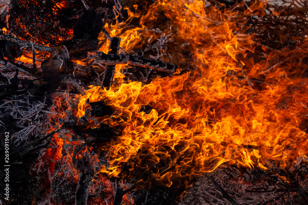 Flaming fire. Burning tree branches. Pagan rite dedicated to the ...