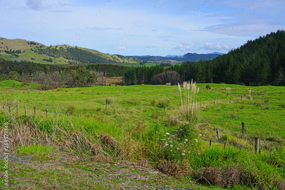 Green fields and mountains in the Far North region of the North Island ...