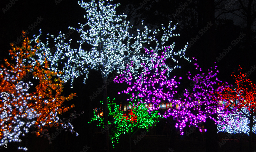 Illuminated trees with lights in Chengdu, China at Wuhou Temple Lantern ...