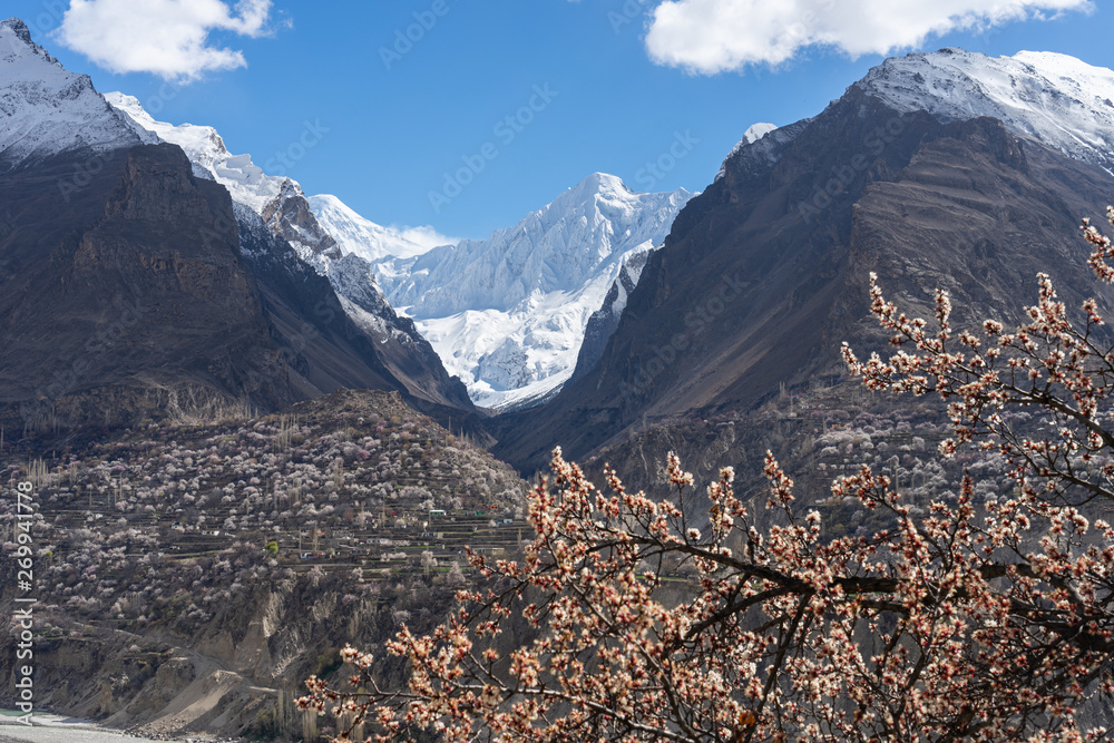 Beautiful blossom in Hunza valley, Northern part of Pakistan の Stock ...