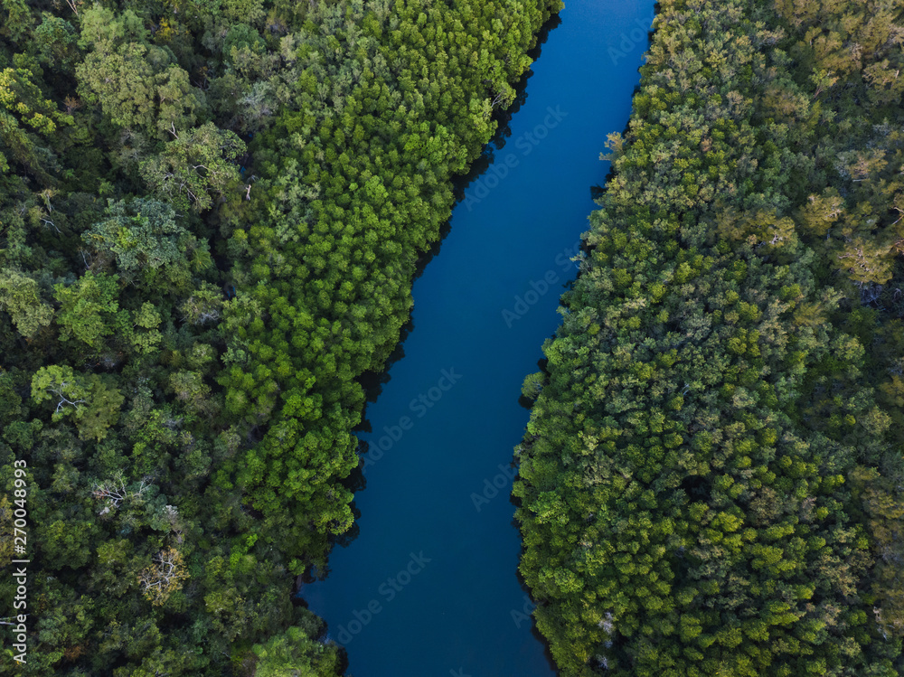 aerial view of river in jungle forest in Asia, beautiful nature ...