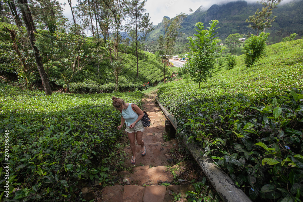 Young millenial female tourist walk up the stairs through tea ...