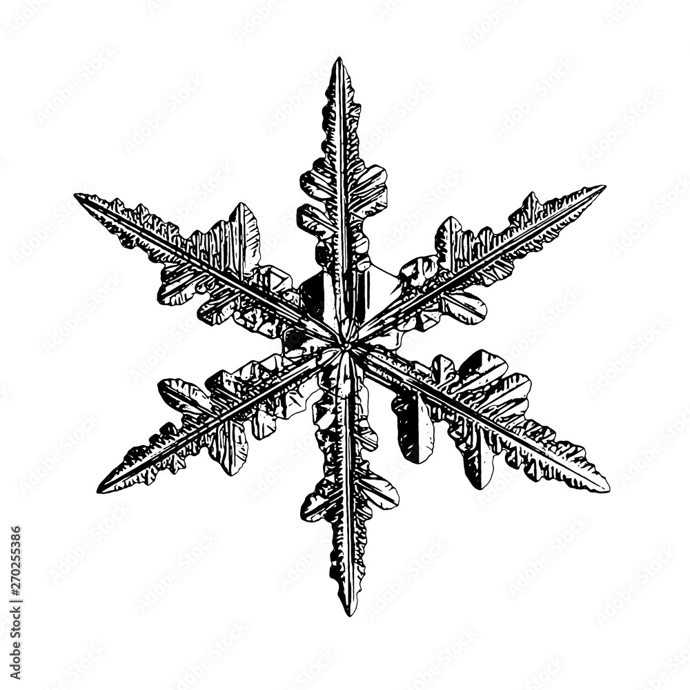Snowflake isolated on white background. Illustration based on macro ...