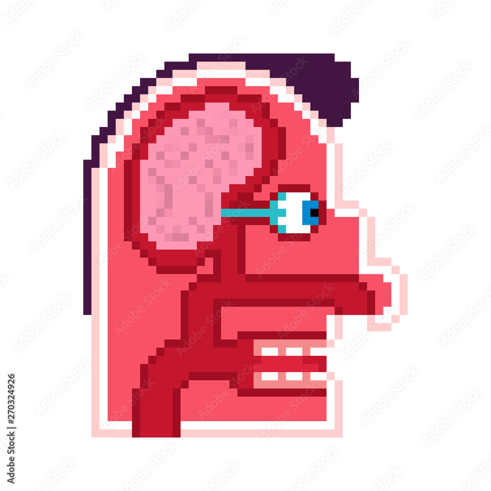 Anatomy Head pixel art. cartoon Internal scheme 8 bit. Brain and eye ...