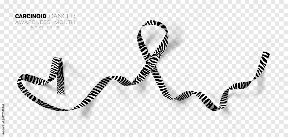 Carcinoid Cancer Awareness Month. Zebra Stripe Color Ribbon Isolated On ...