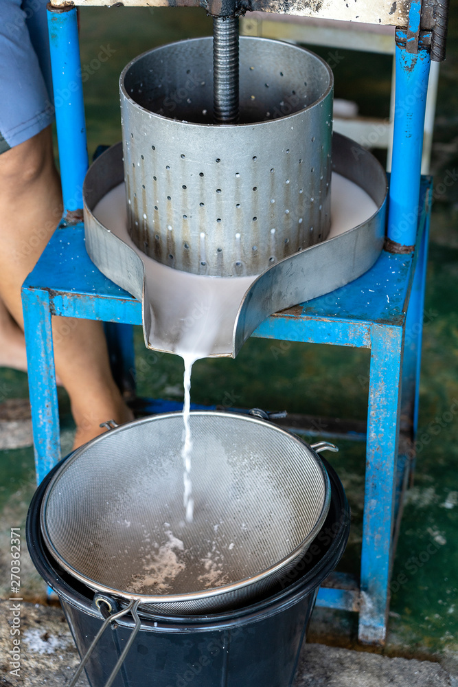 Coconut milk and juice extractor machine screw press type. Coconut milk ...