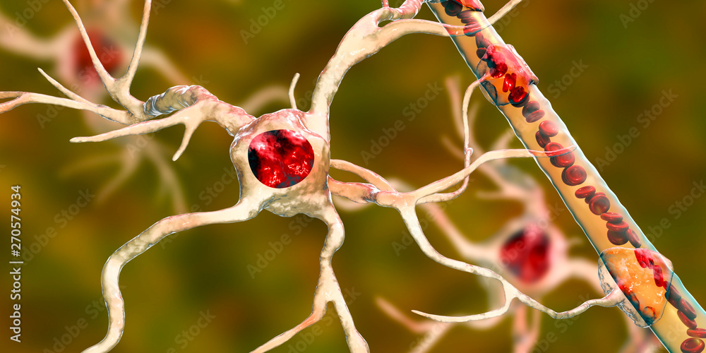 Astrocyte and blood vessel, 3D illustration. Astrocytes, brain glial ...