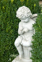 Cherub With Bird Free Stock Photo - Public Domain Pictures