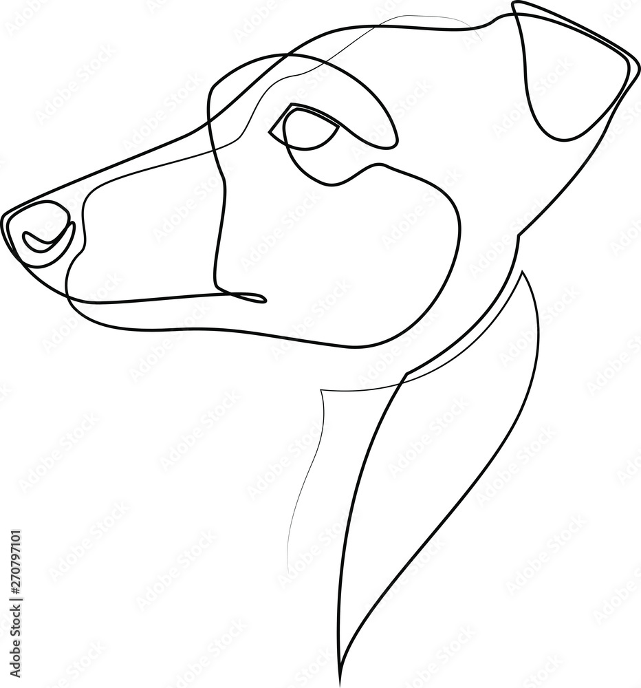 Continuous line Whippet. Single line minimal style English Whippet or ...