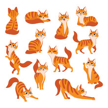 Cute Cartoon Cat Free Stock Photo - Public Domain Pictures