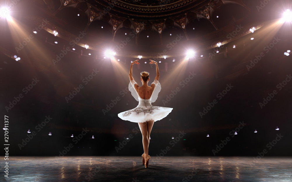 Ballet. Classical ballet performed by a couple of ballet dancers on the ...