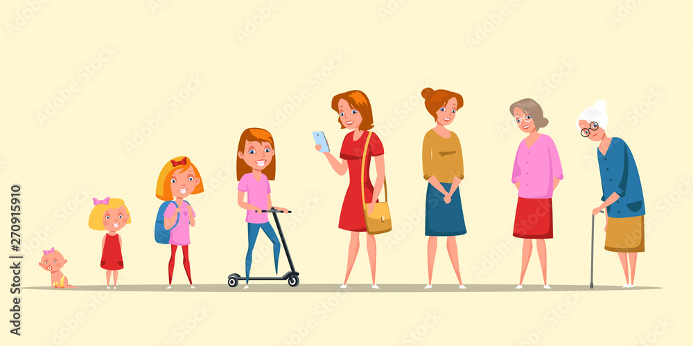 Woman life cycle, stages flat vector illustration Stock Vector | Adobe ...