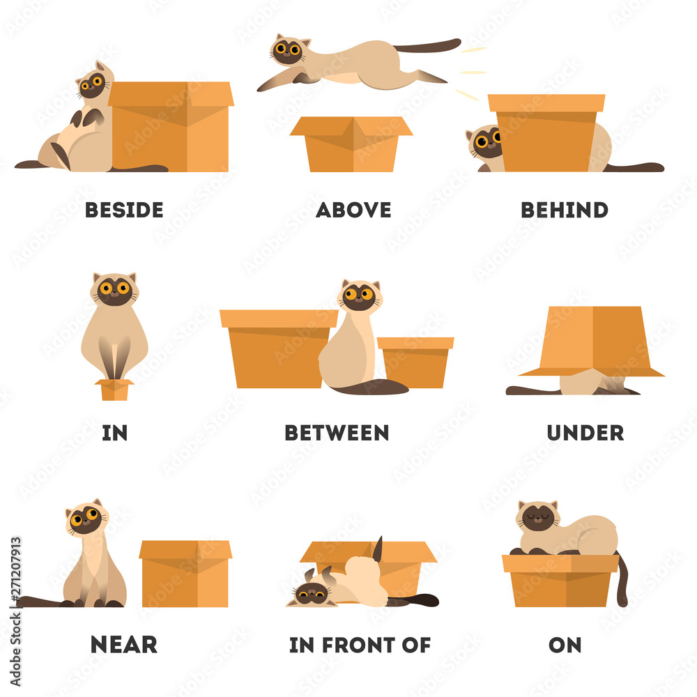 Cat and box set. Learning preposition concept. Animal above 스톡 벡터 ...