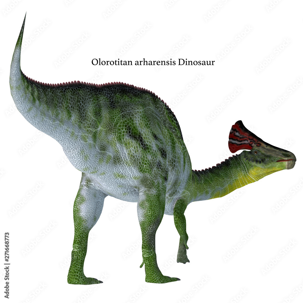 Olorotitan Dinosaur Tail with Font - Olorotitan was a duckbill crested ...