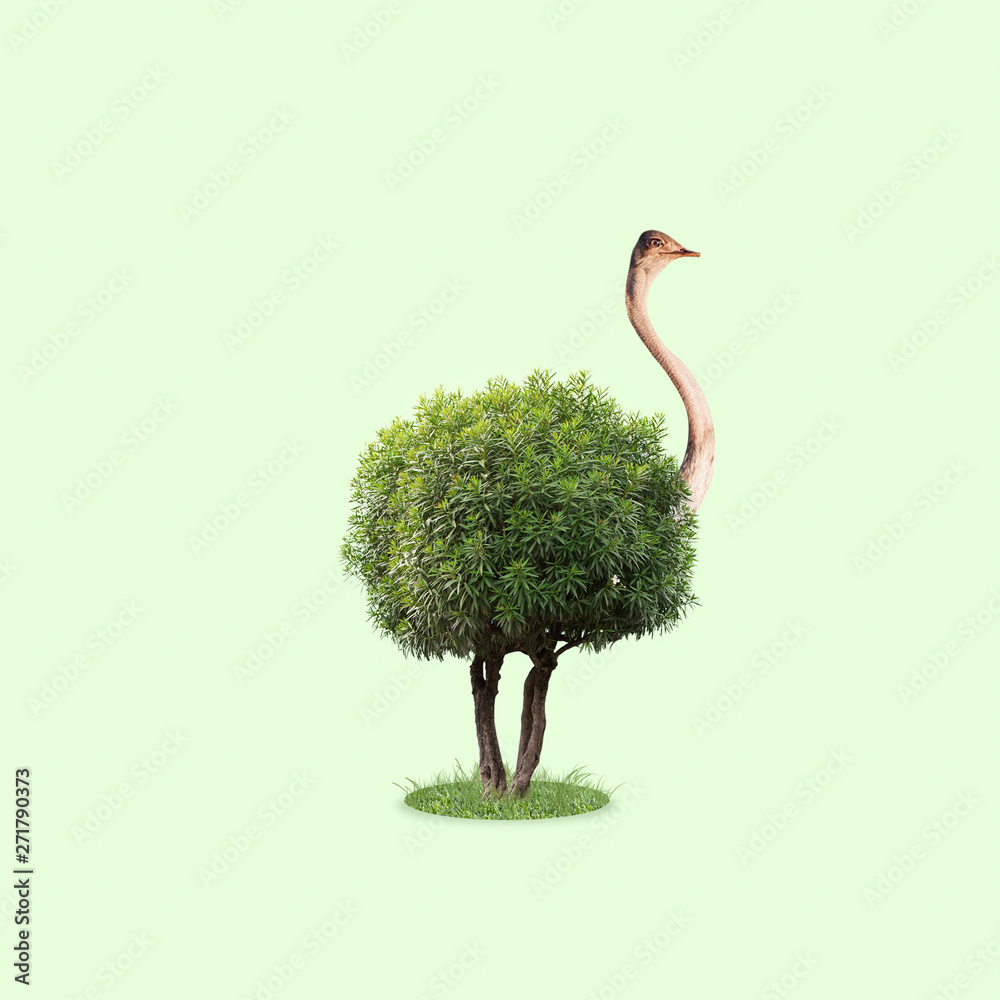 Ostrich with the body as a tree with leaves on green background ...