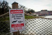 Beware Of Alligators Sign Free Stock Photo - Public Domain Pictures