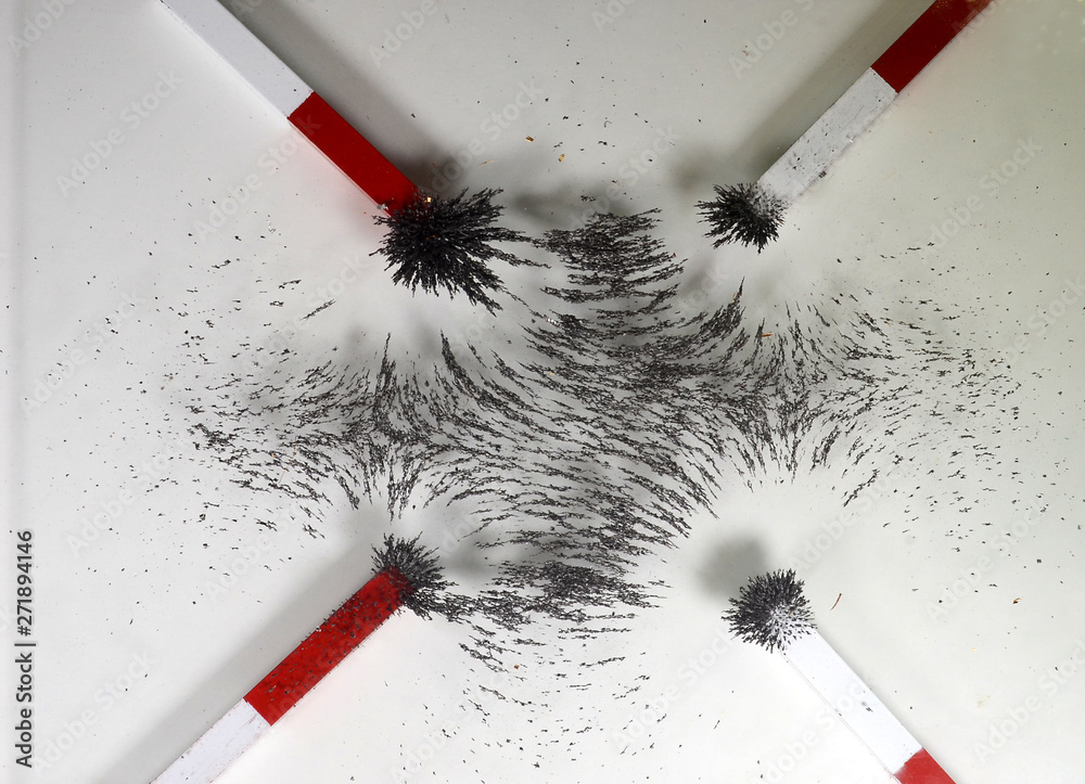 The lines of forces around four magnets with partly counteracting ...