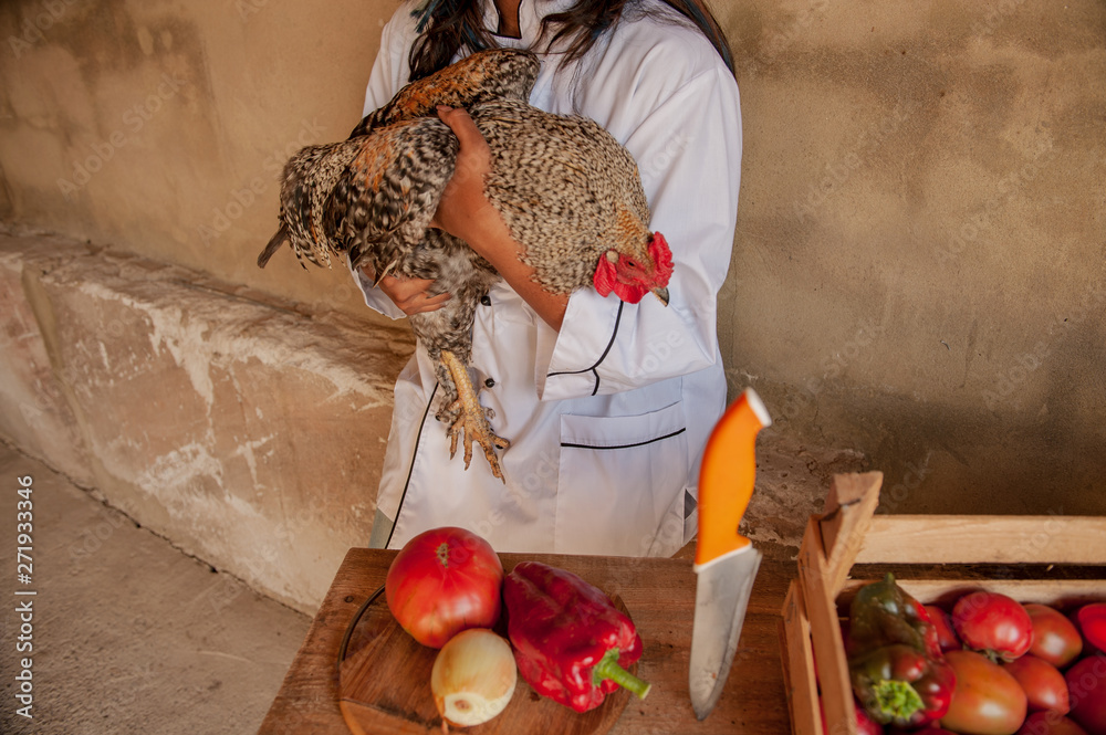 Attractive Indian woman cook posing in kitchen with chicken in her ...