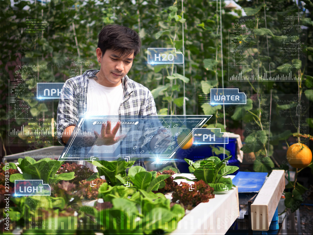 young smart Asia Farmer using Ar,Vr,3d projection glass Technology at ...