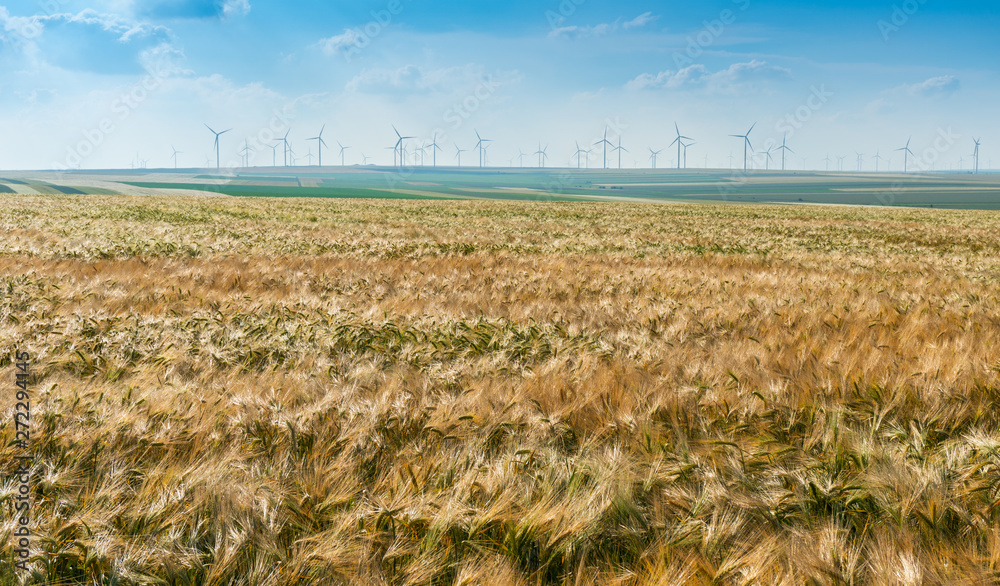 Eolian generators in a beautiful wheat field. eolian turbine farm. Wind ...