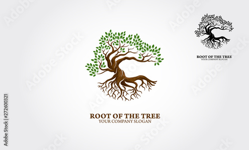 Root of the Tree logo illustrating a tree roots, branches. Excellent ...