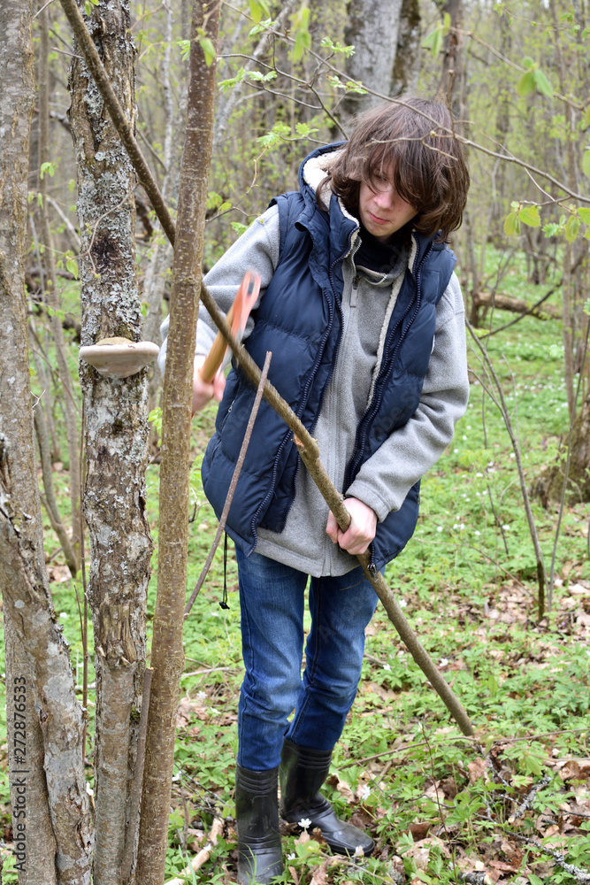 teenage boy making a walking stick with an axe in a wood on a spring ...