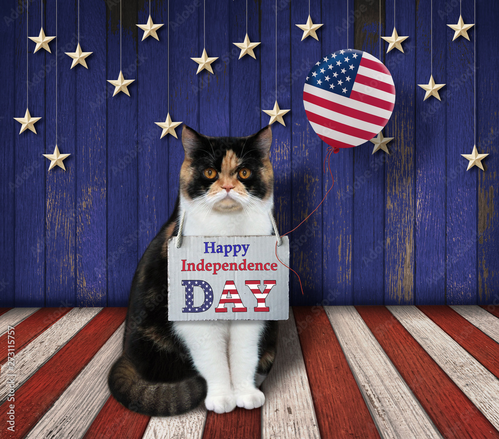 The cat patriot with a sign around its neck (Happy Independence Day ...