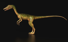 Compsognathus Dinosaur Free Stock Photo - Public Domain Pictures