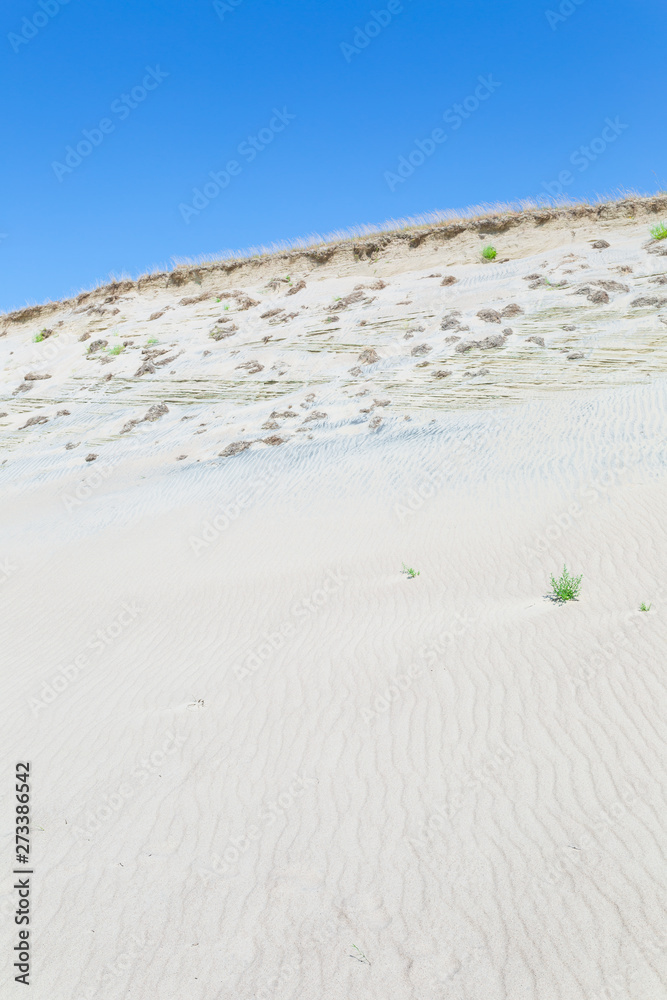 Sand dunes of the Curonian spit also known as "Dead or Grey dunes ...