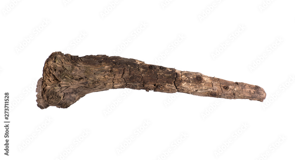 ancient club,wooden cudgel, Truncheon of stone age on a white ...